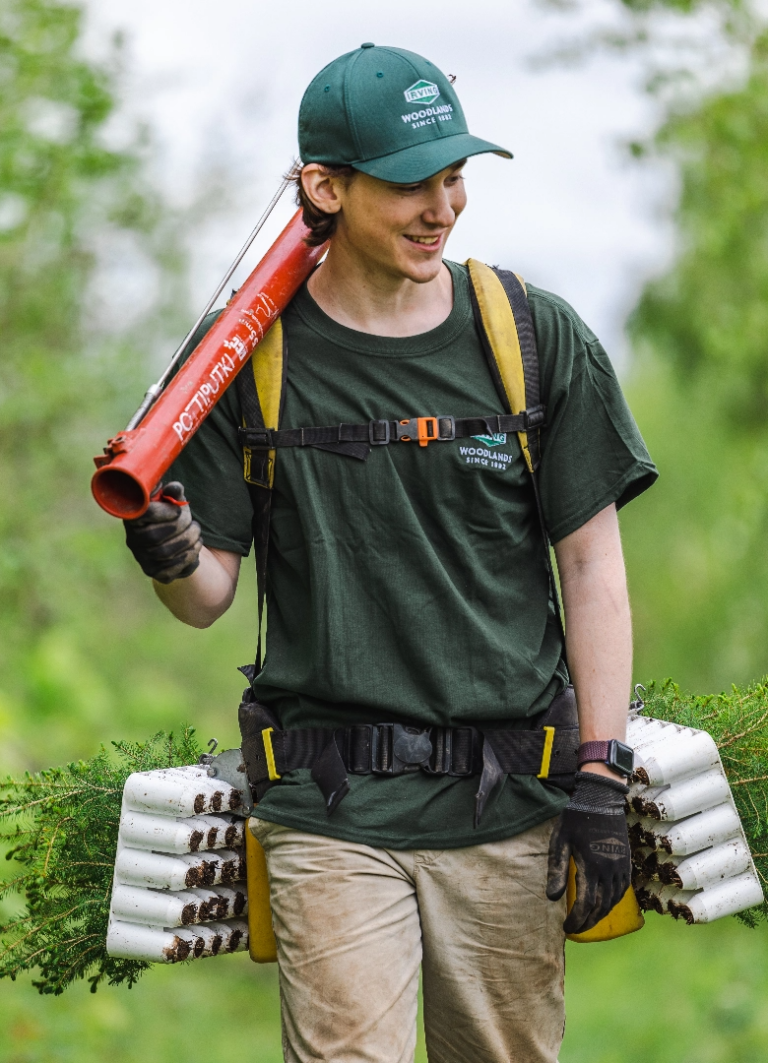 NB Working Forests Work