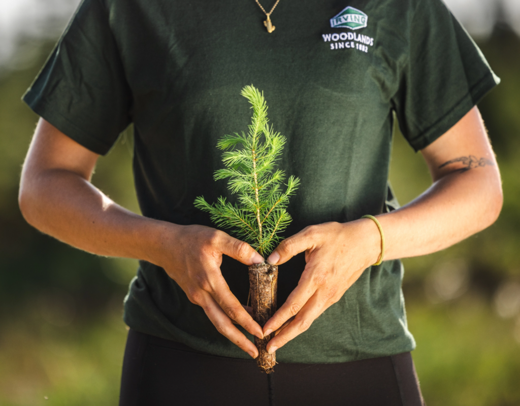 NB Working Forests Work