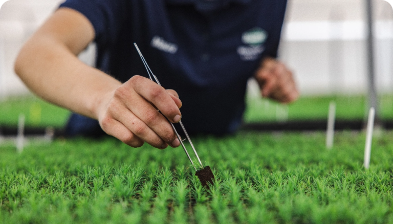 NB Working Forests Work