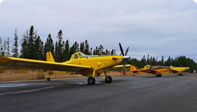 Nb Working Forests Work